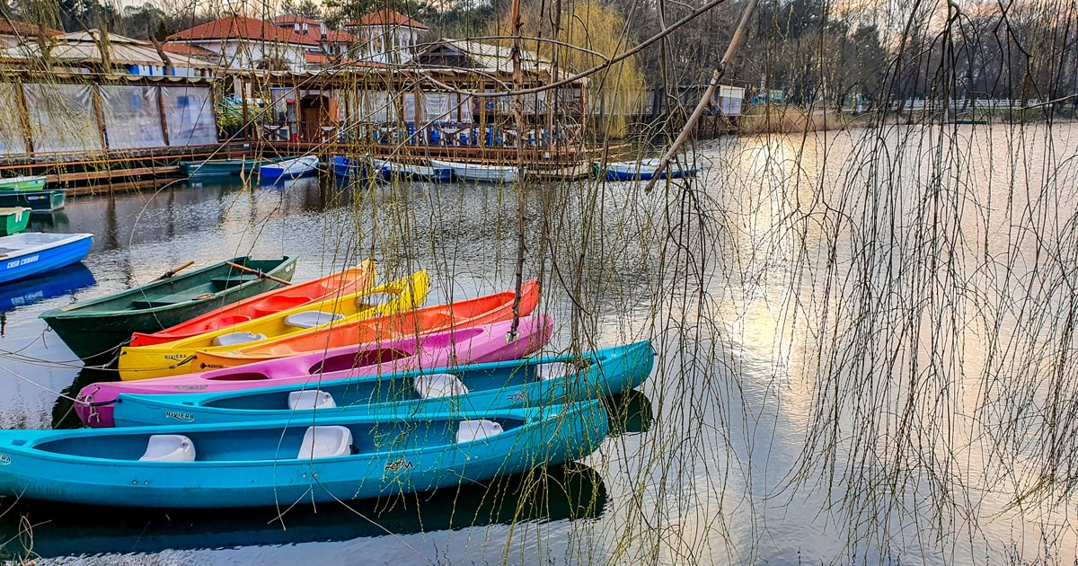 Parcul de Aventură Comana - Idei de weekend | Dana Paraschiv