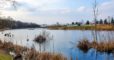 Parcul de Aventură Comana - Idei de weekend | Dana Paraschiv