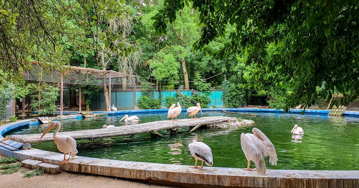 Grădina Zoologică București - Vizită la Zoo | Dana Paraschiv
