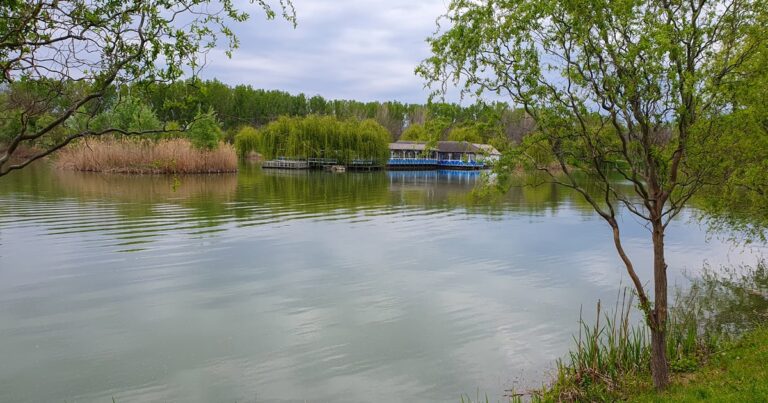Zaga Zaga - Cazare în Delta Siretului | Dana Paraschiv